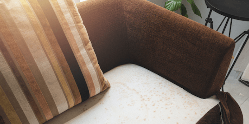 4 Ways To Remove Mold From Fabric Furniture